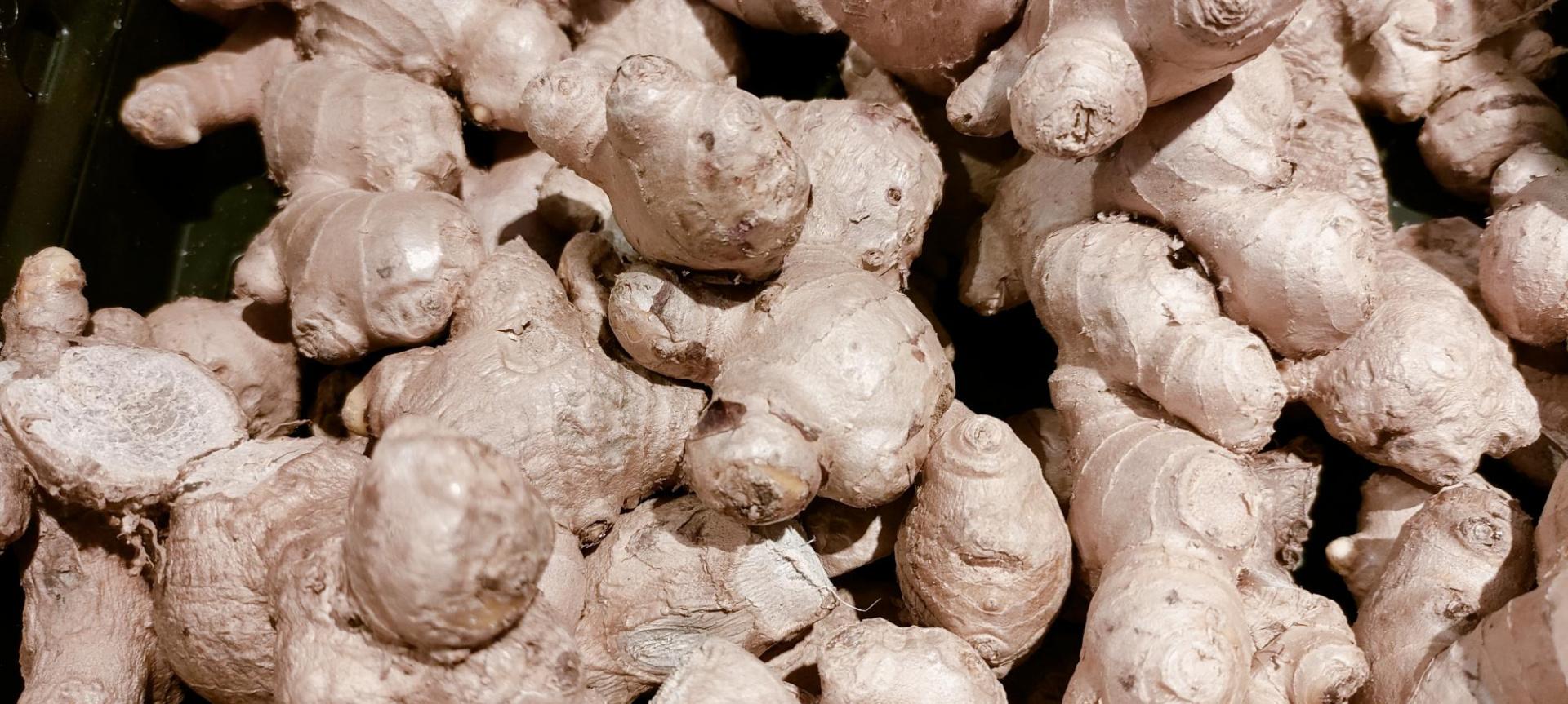 Bio Ginger: How much does it cost in Germany?